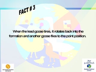 Lessons from Geese | PPT