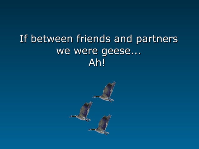 Lessons from geese | PPS | Birdwatching | Hobbies & Interests