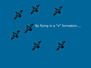 Lessons from geese | PPS