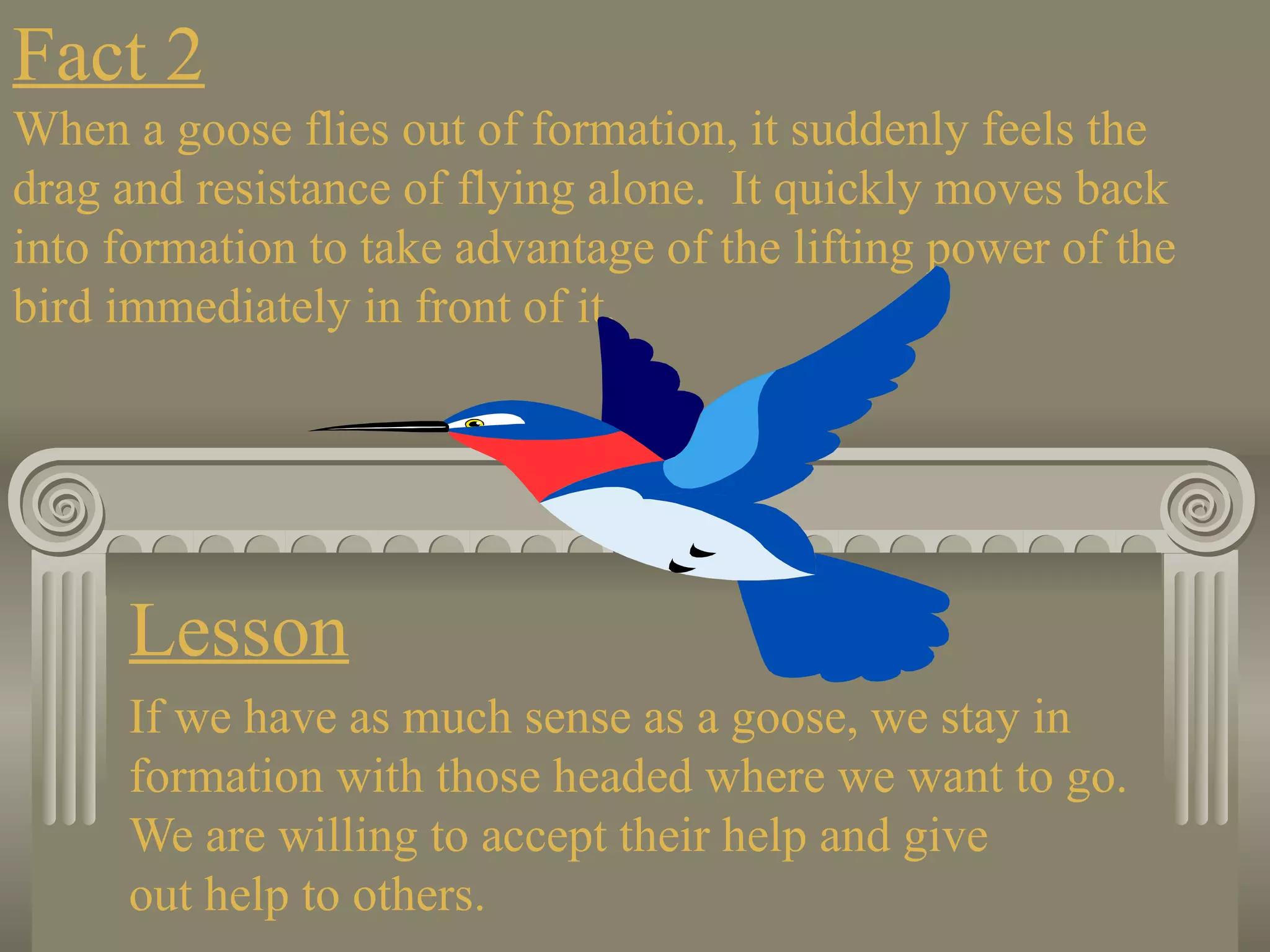 Lessonsfrom Geese For Team Building | PPS