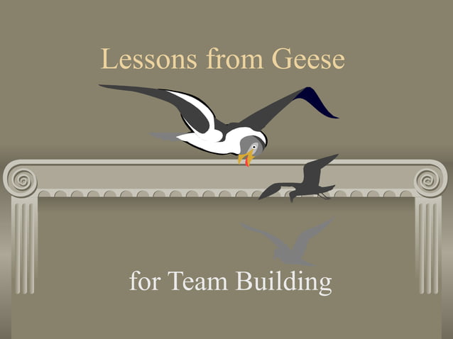 Lessonsfrom Geese For Team Building | PPS | Birdwatching | Hobbies ...