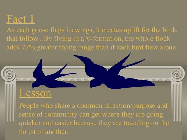 Lessonsfrom Geese For Team Building | PPS | Birdwatching | Hobbies ...