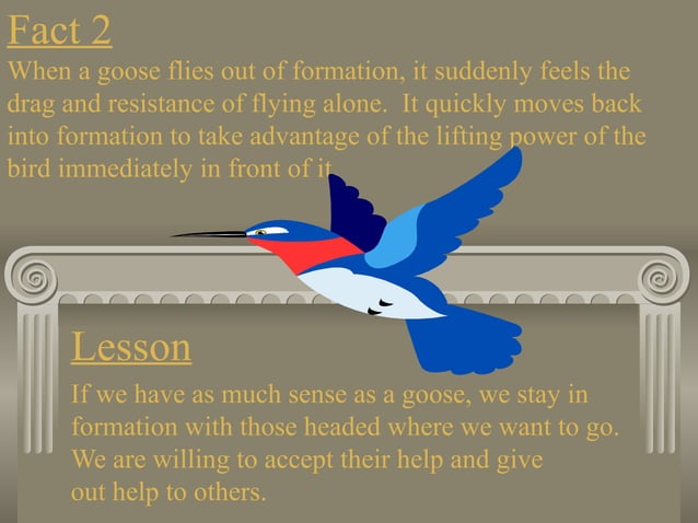 Lessonsfrom Geese For Team Building | PPS | Birdwatching | Hobbies ...