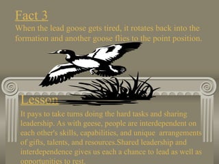 Lessonsfrom Geese For Team Building | PPS