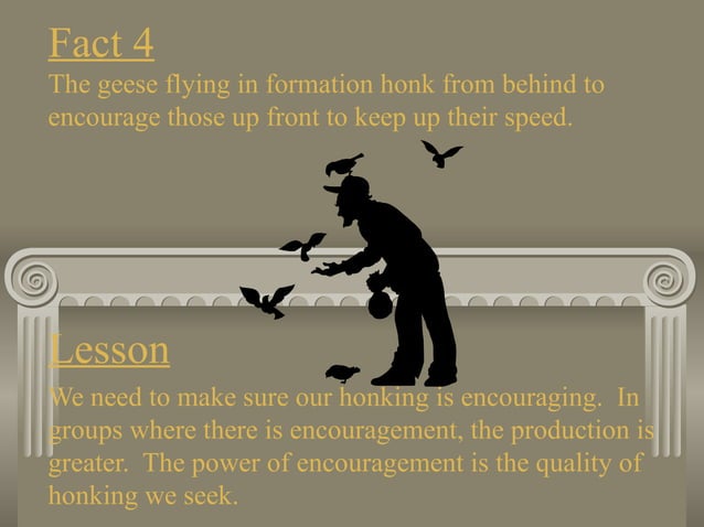 Lessonsfrom Geese For Team Building | PPS | Birdwatching | Hobbies ...