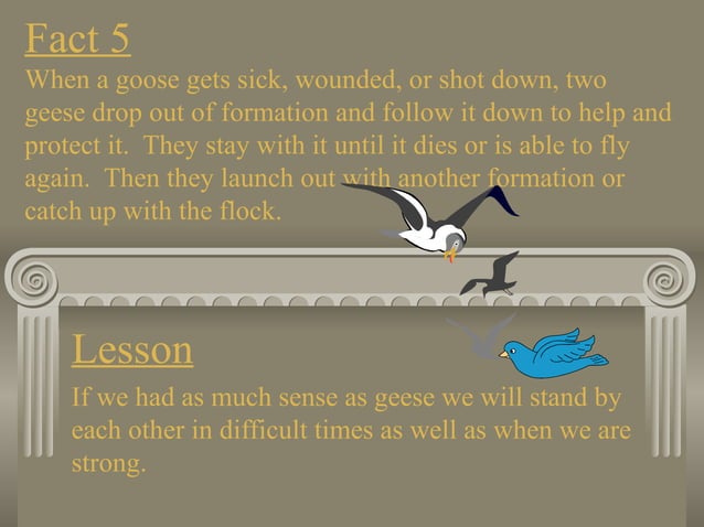Lessonsfrom Geese For Team Building | PPS | Birdwatching | Hobbies ...