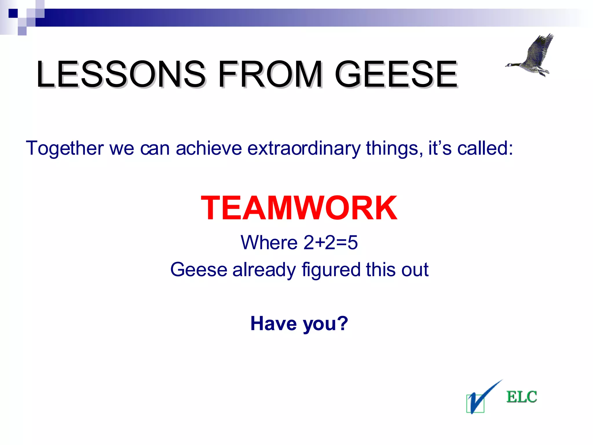Lessons From Geese Teamwork | PPT