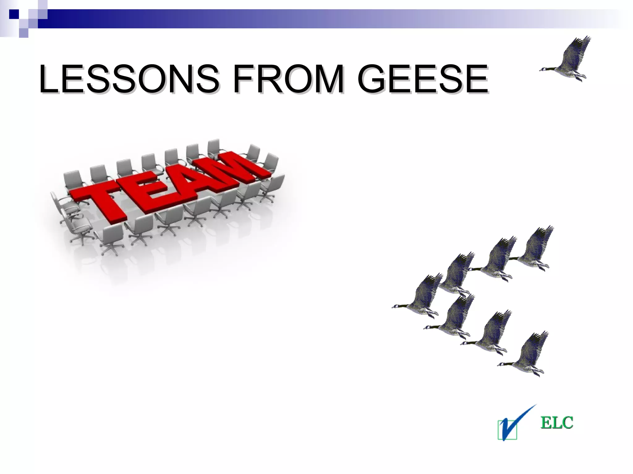 Lessons From Geese Teamwork | PPT