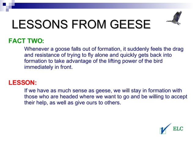 Lessons From Geese Teamwork | PPT