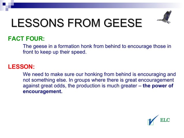Lessons From Geese Teamwork | PPT