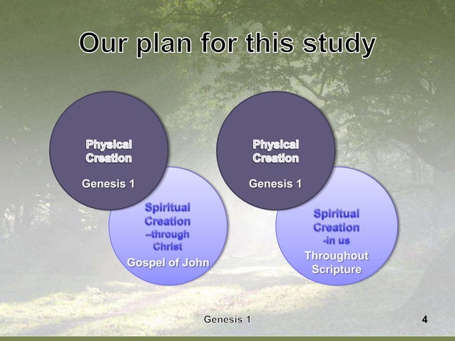 Lessons from genesis 1 (part 2) | PPT