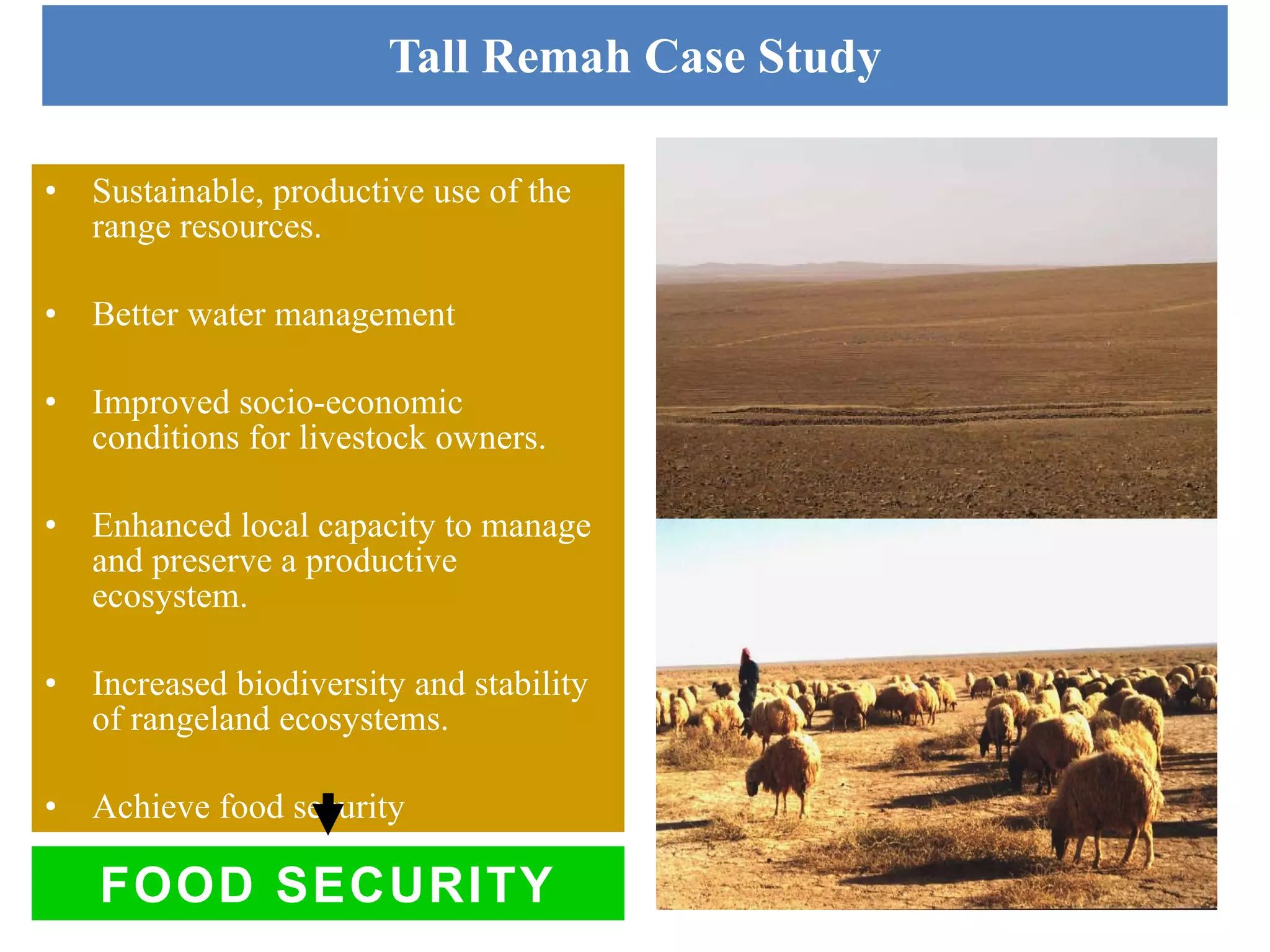 Lessons from Jordan Mohammad Al Oun | PPT