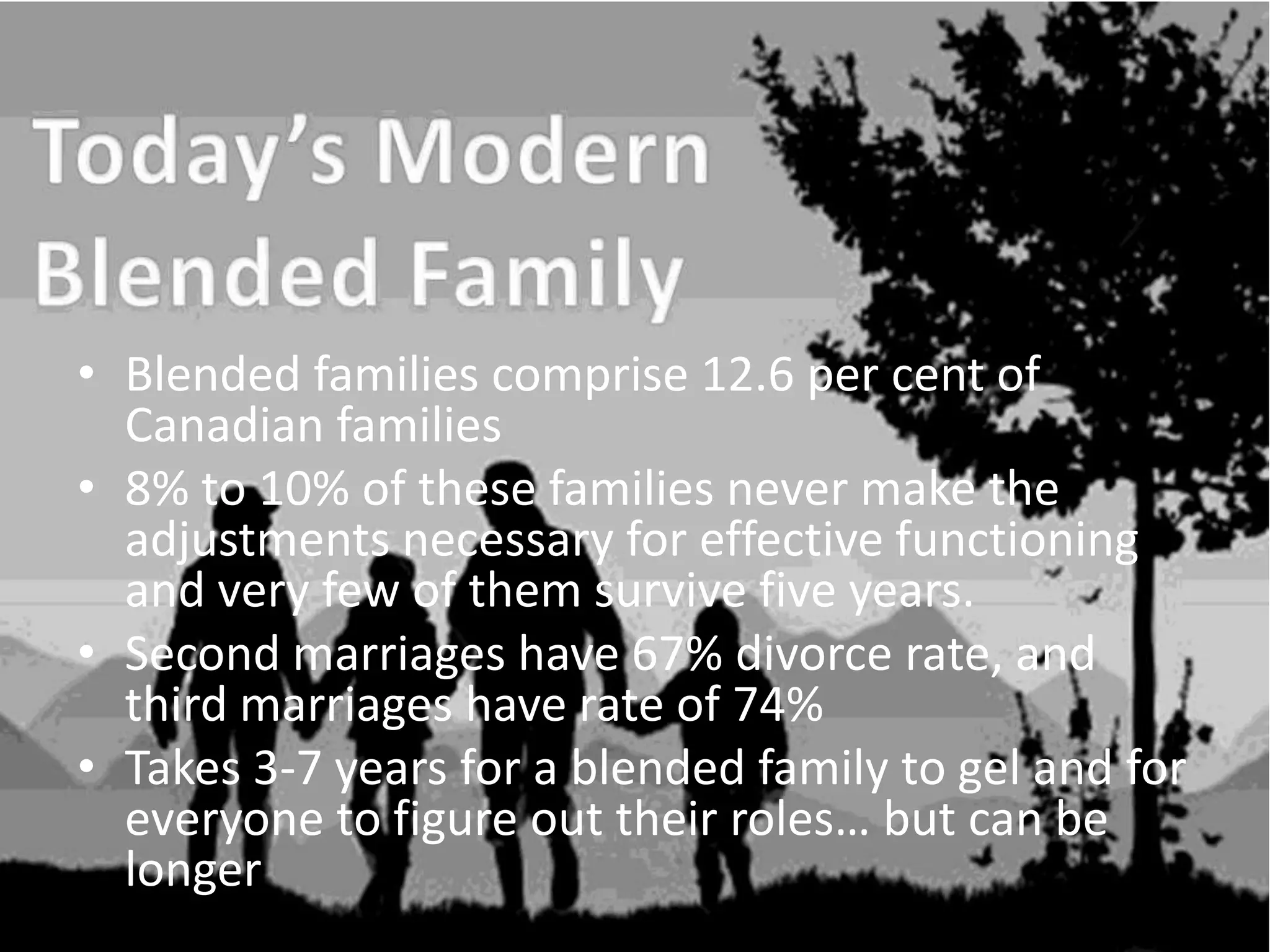 Lessons from the Blender - Understanding and Helping Blended Families ...