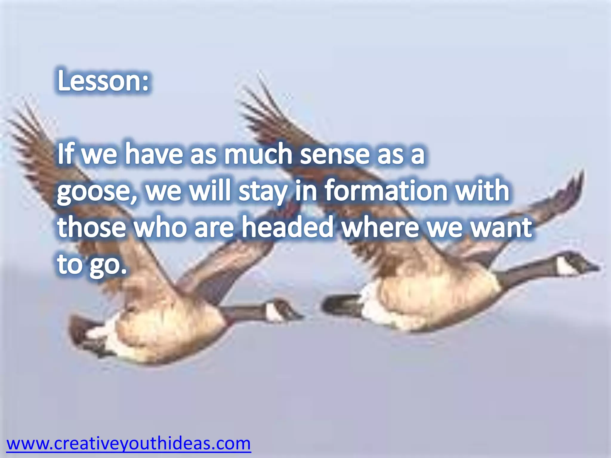 Youth Ministry Illustrations: Lessons From the Geese | PPTX ...