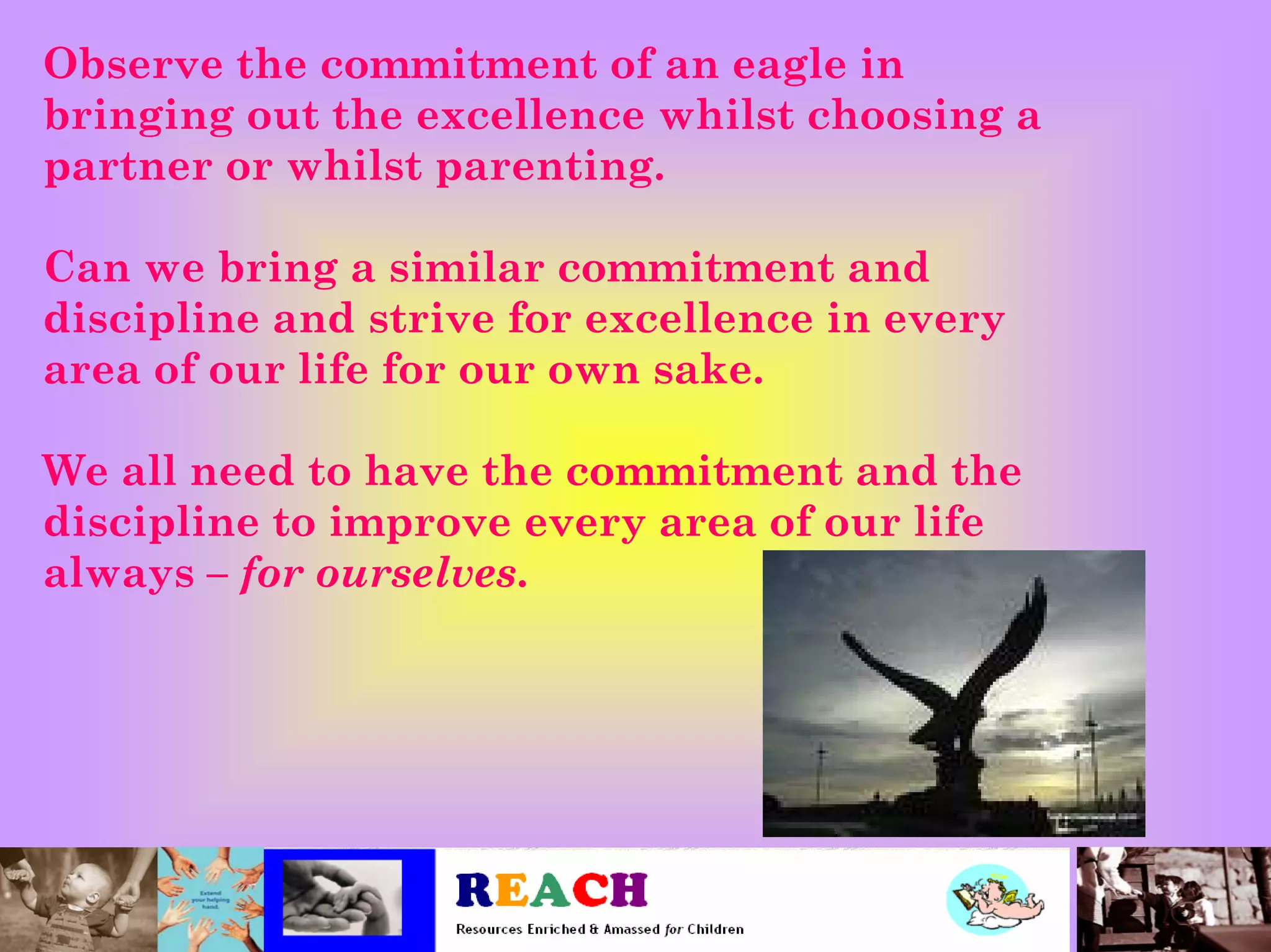 Lessons From The Life Of An Eagle | PDF