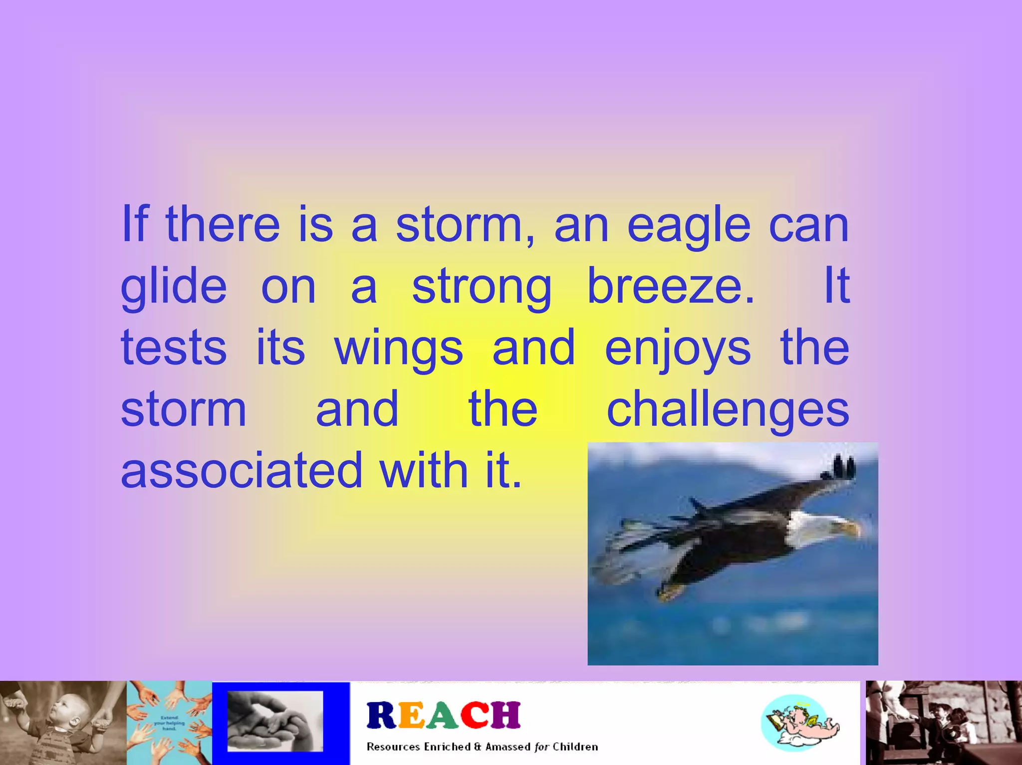 Lessons From The Life Of An Eagle | PDF