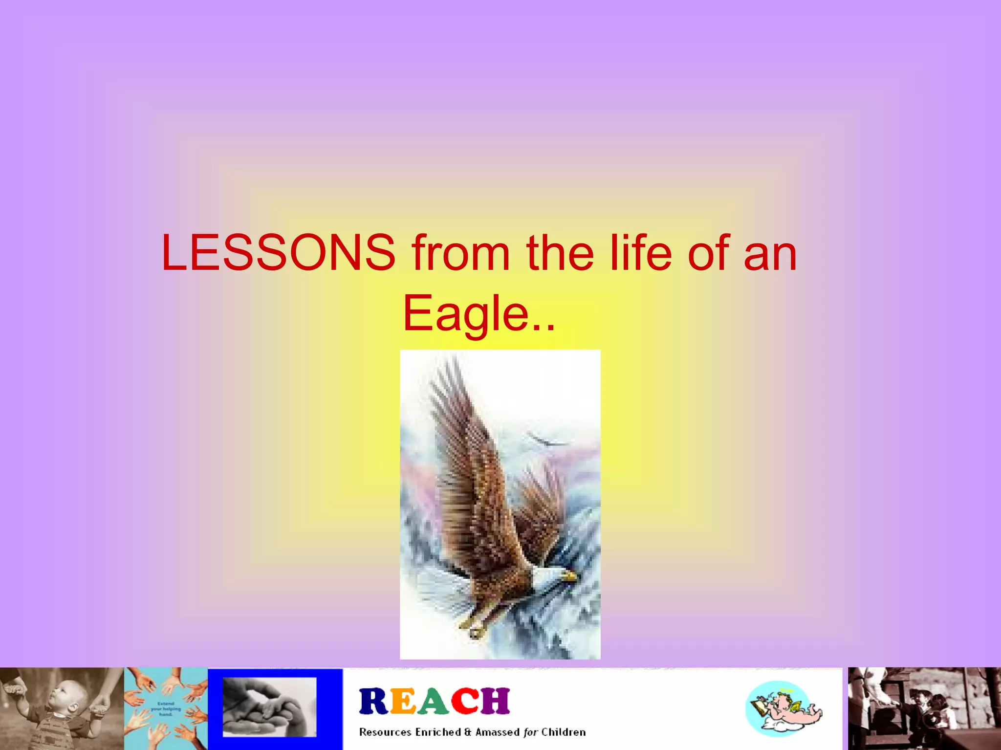 Lessons From The Life Of An Eagle | PDF