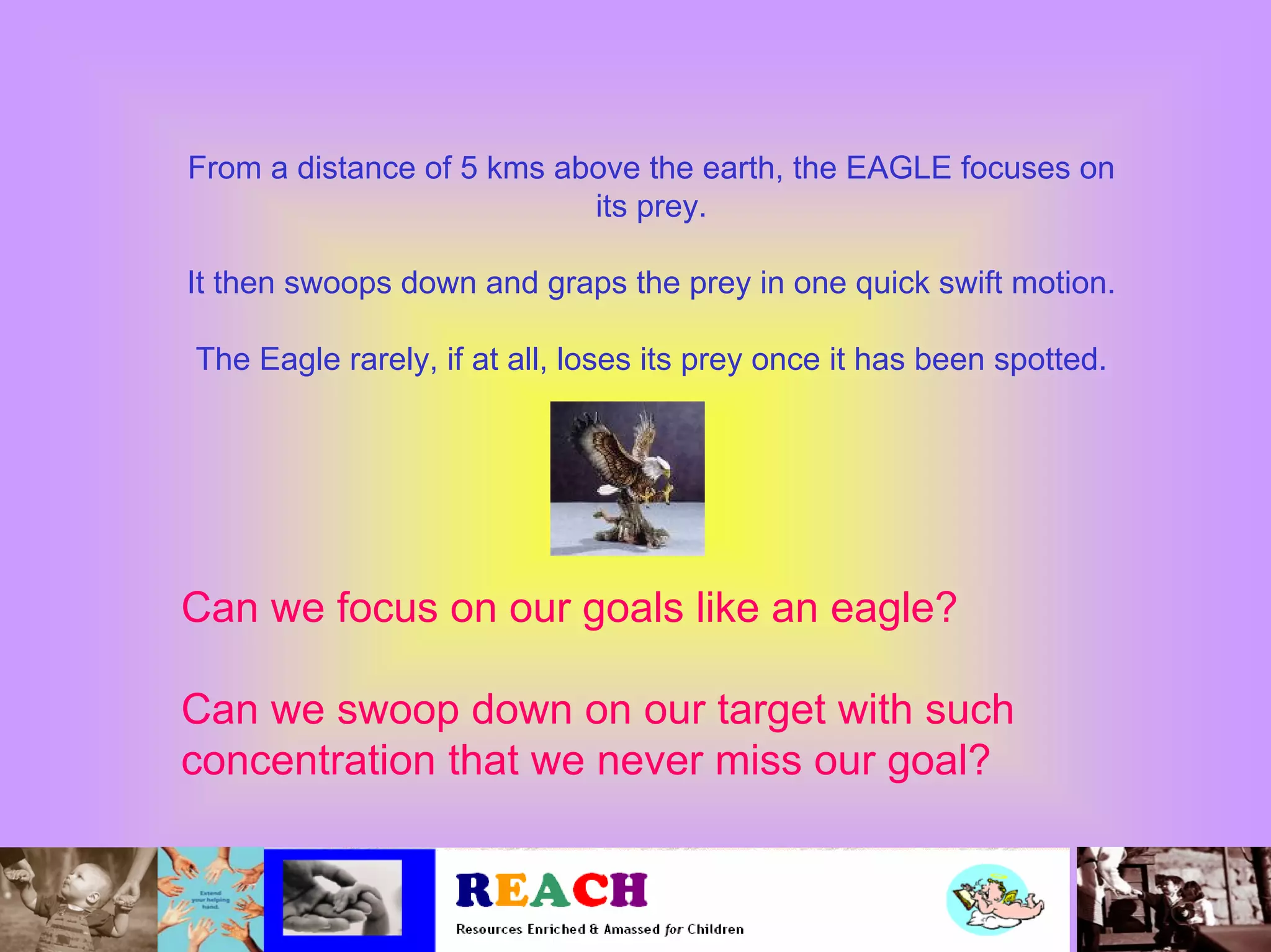 Lessons From The Life Of An Eagle | PDF