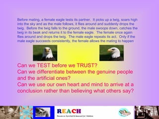Lessons From The Life Of An Eagle | PDF