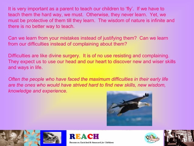 Lessons From The Life Of An Eagle | PDF | Birdwatching | Hobbies ...