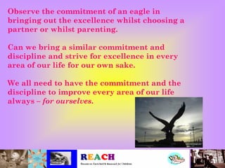 Lessons From The Life Of An Eagle | PDF