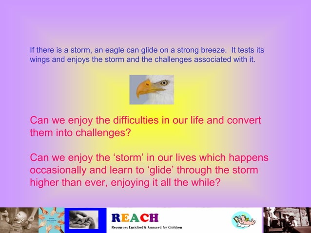 Lessons From The Life Of An Eagle | PDF | Birdwatching | Hobbies ...