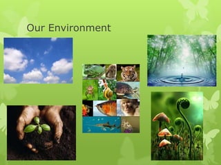 Lessons from the lorax | PPTX