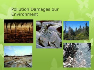 Lessons from the lorax | PPTX