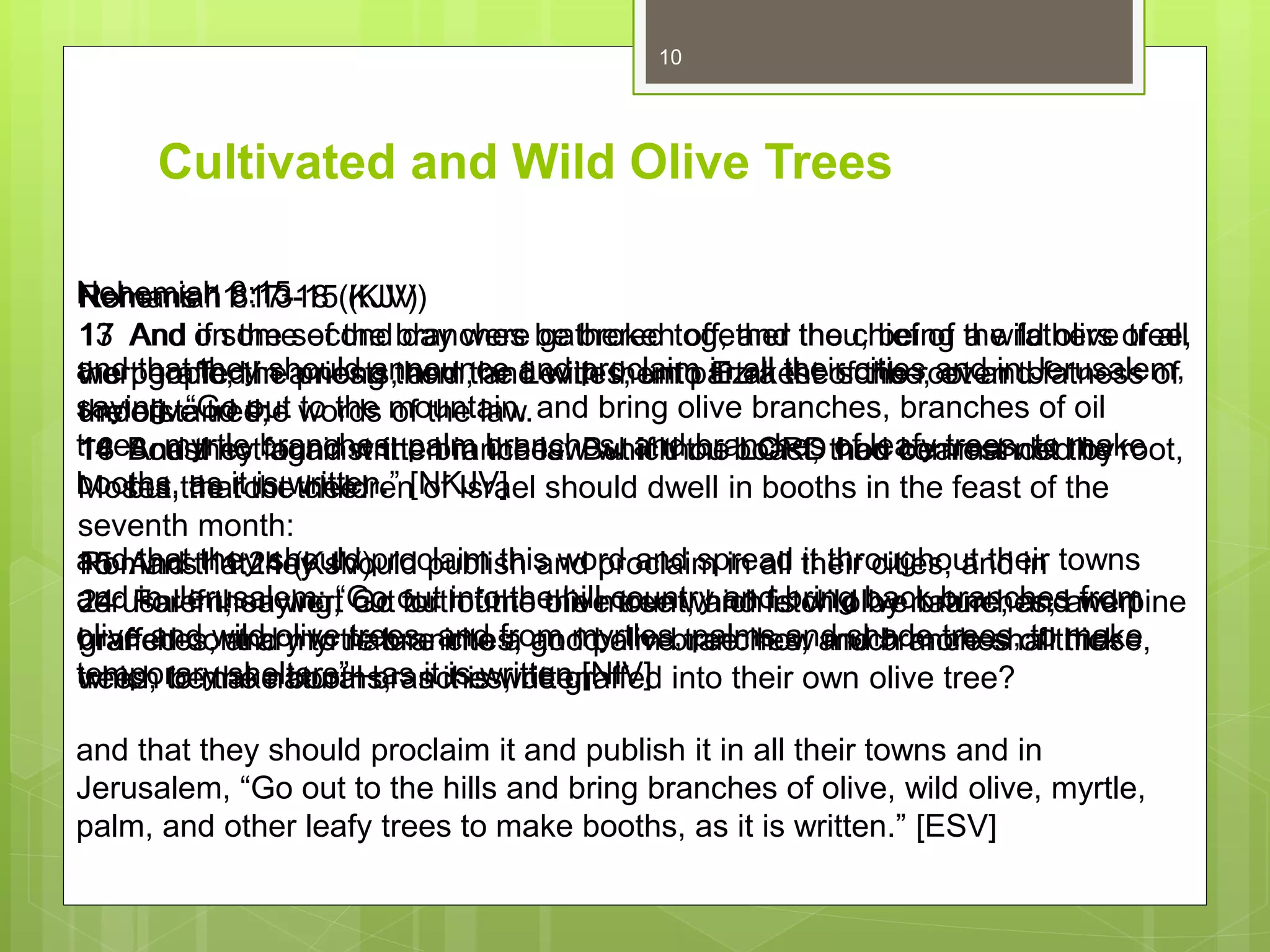 Lessons from the olive tree | PPTX