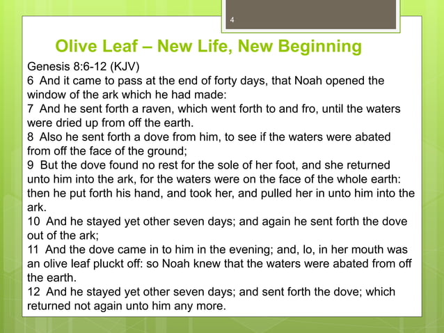 Lessons from the olive tree | PPT