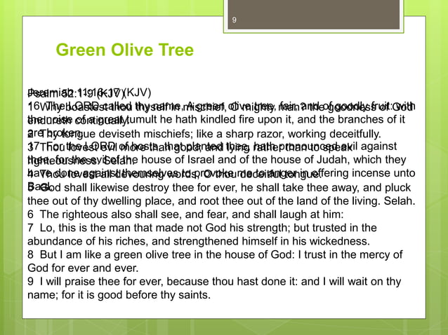Lessons from the olive tree | PPT