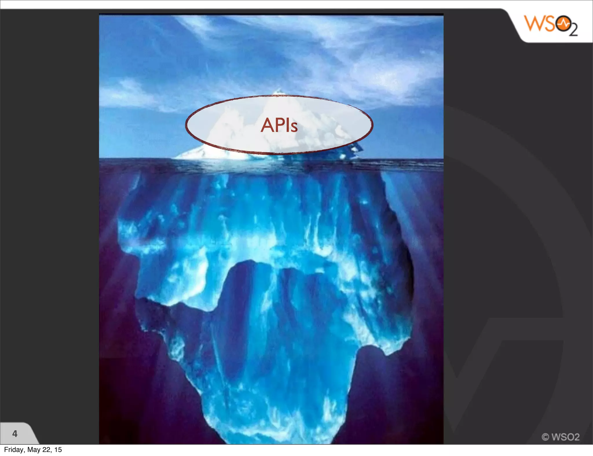 Lessons from the Trenches: Building an API-Centric Architecture | PDF