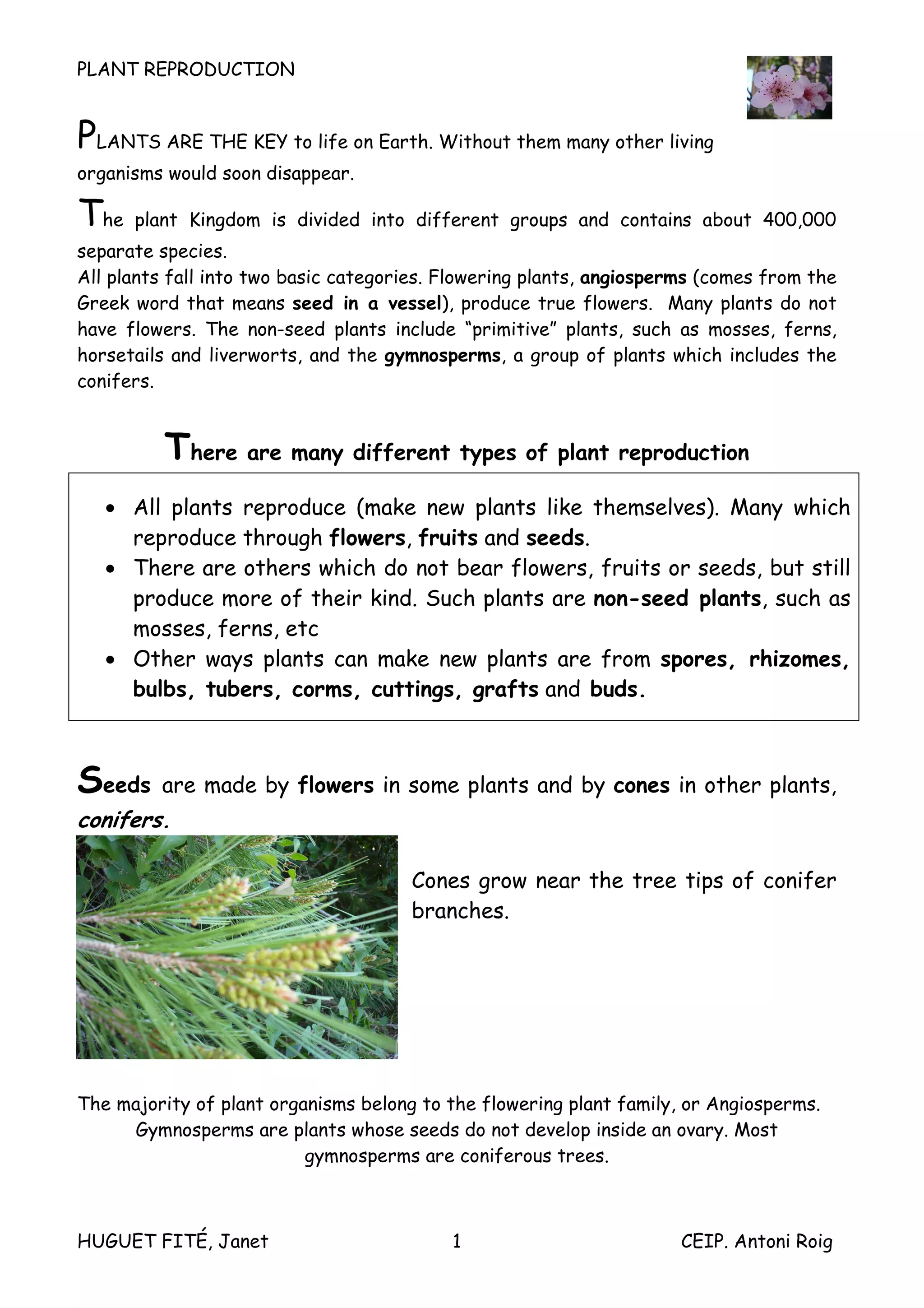 Plants Reproduction Hand out | PDF