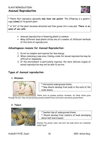 Plants Reproduction Hand out | PDF