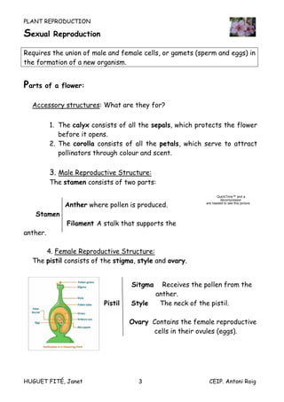 Plants Reproduction Hand out | PDF