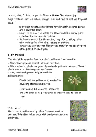 Plants Reproduction Hand out | PDF