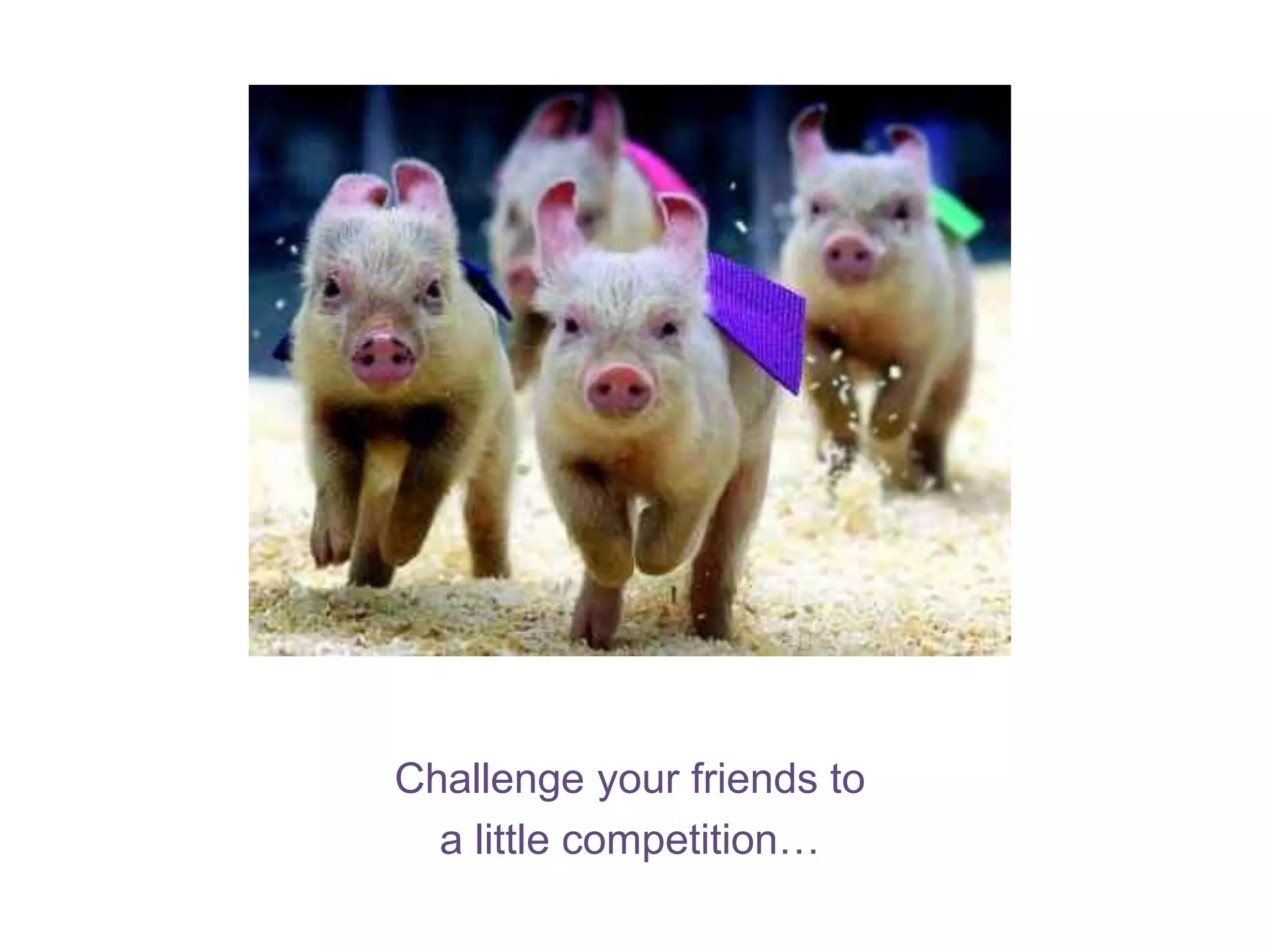 Lessons I Learned From A Pig! | PPSX