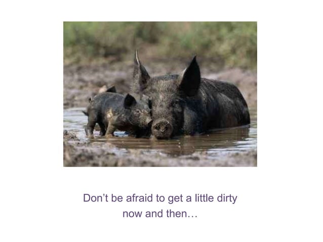 Lessons I Learned From A Pig! | PPSX