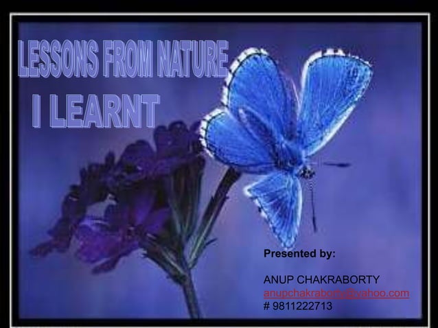 Lessons I learnt from Nature