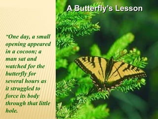 Lessons I learnt from Nature | PPT