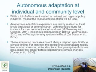 Lessons learned from autonomous and planned adaptation experiences en ...