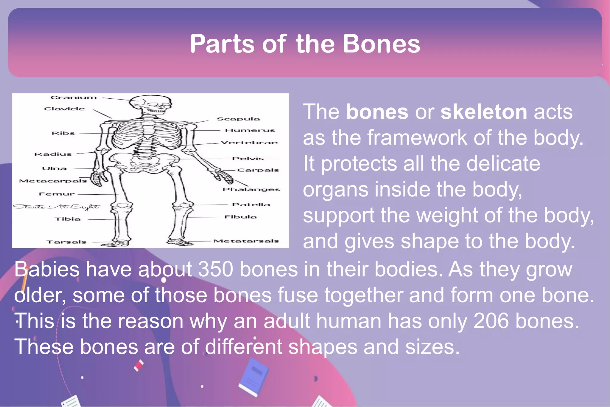 Lesson_The Bones and Muscles.pdf | Death, Injury, or Military Conflict ...