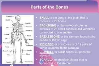 Lesson_The Bones and Muscles.pdf | Death, Injury, or Military Conflict ...