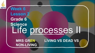 Lesson Two Living processes part II (1).pptx