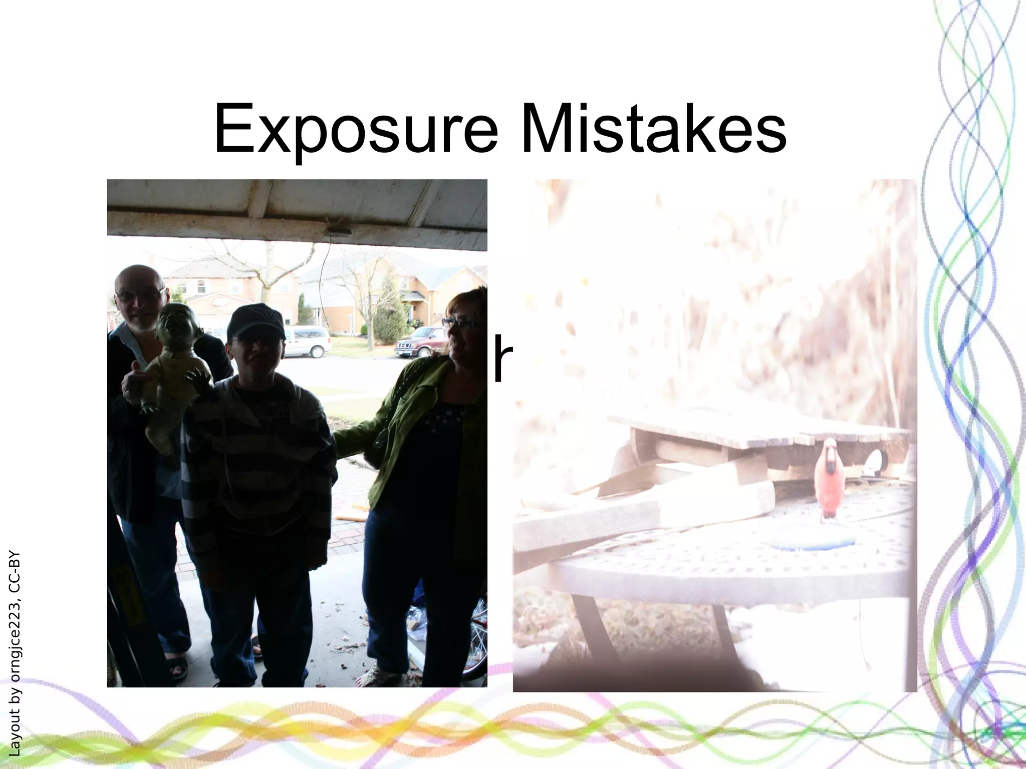 Lesson Two: Understanding and interpreting the image | ODP