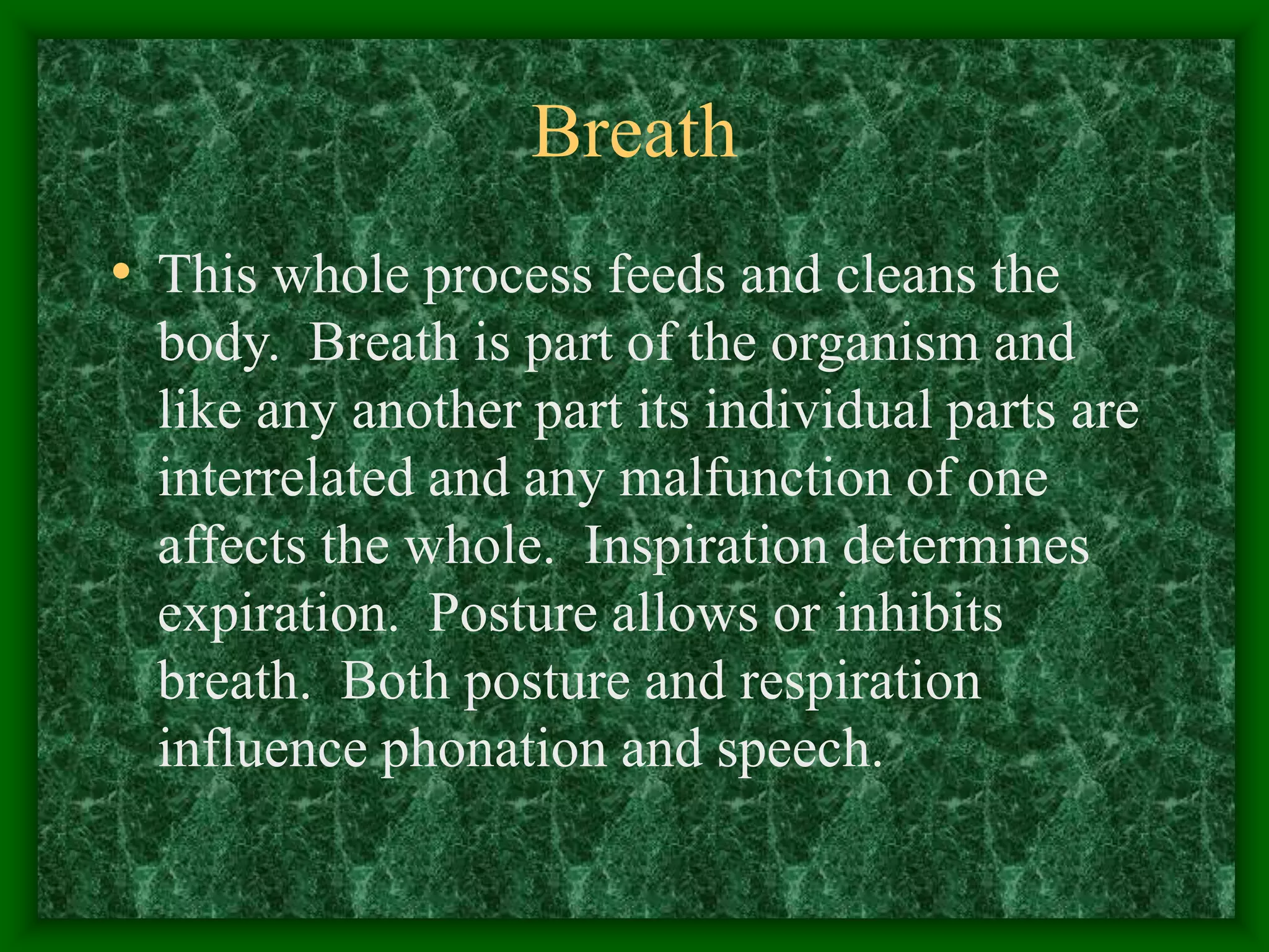 Lesson Two Vocal Anatomy.ppt