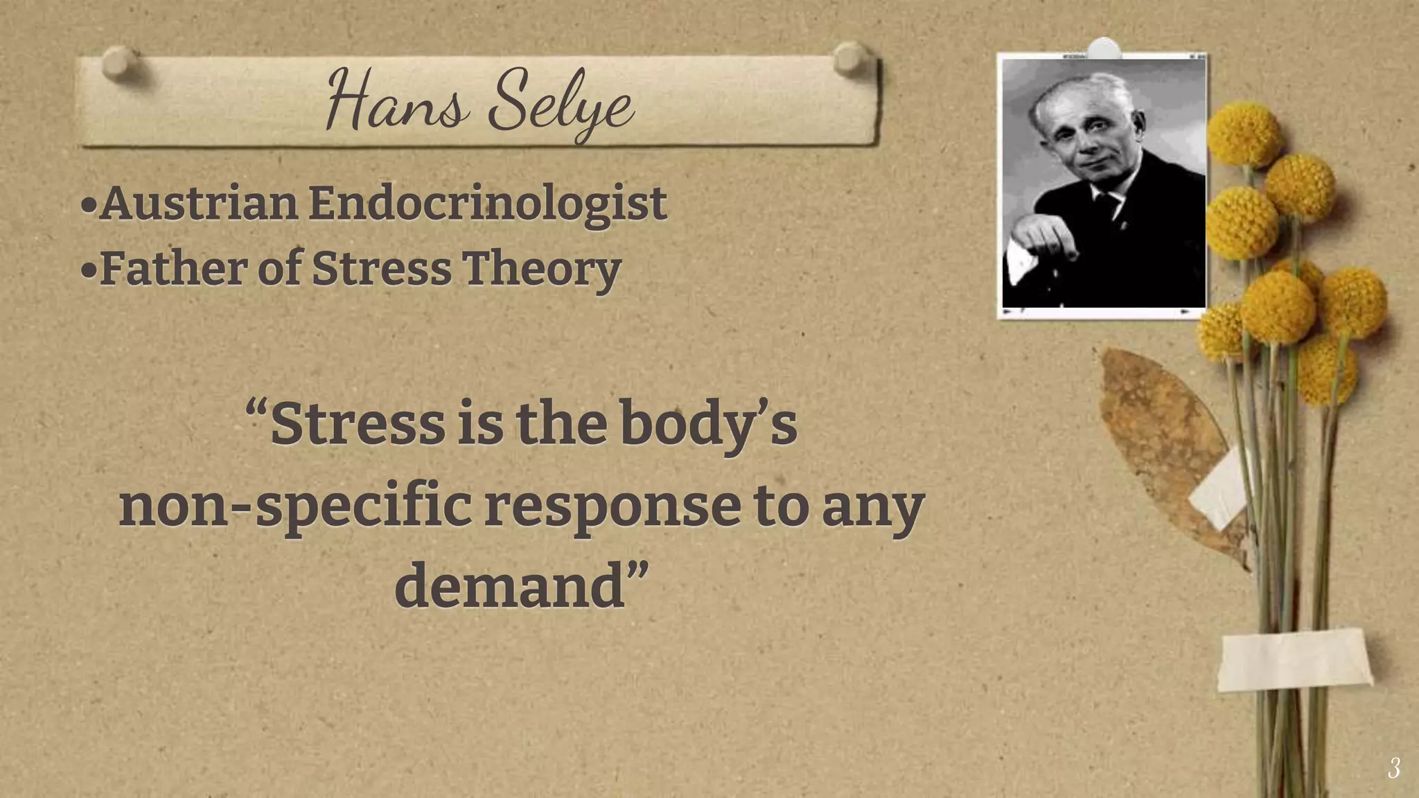Less stress, more care | PPTX