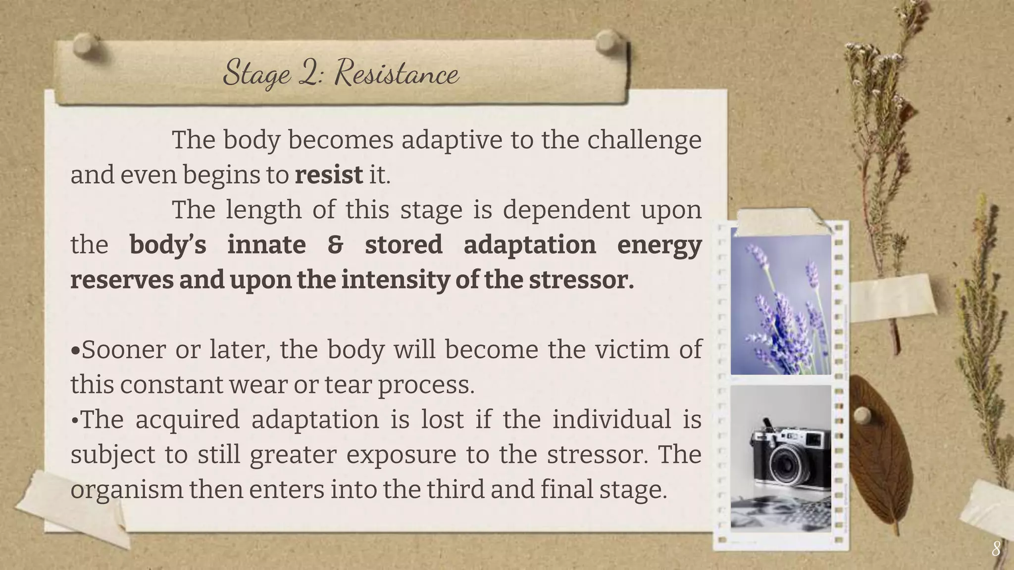 Less stress, more care | PPTX