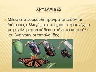Lester goutieres 5612_gloria_damoulianou_5613 | PPTX