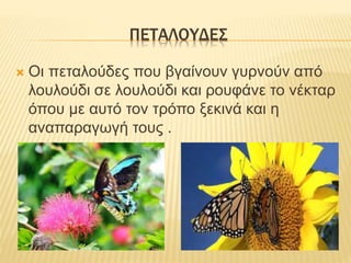 Lester goutieres 5612_gloria_damoulianou_5613 | PPTX
